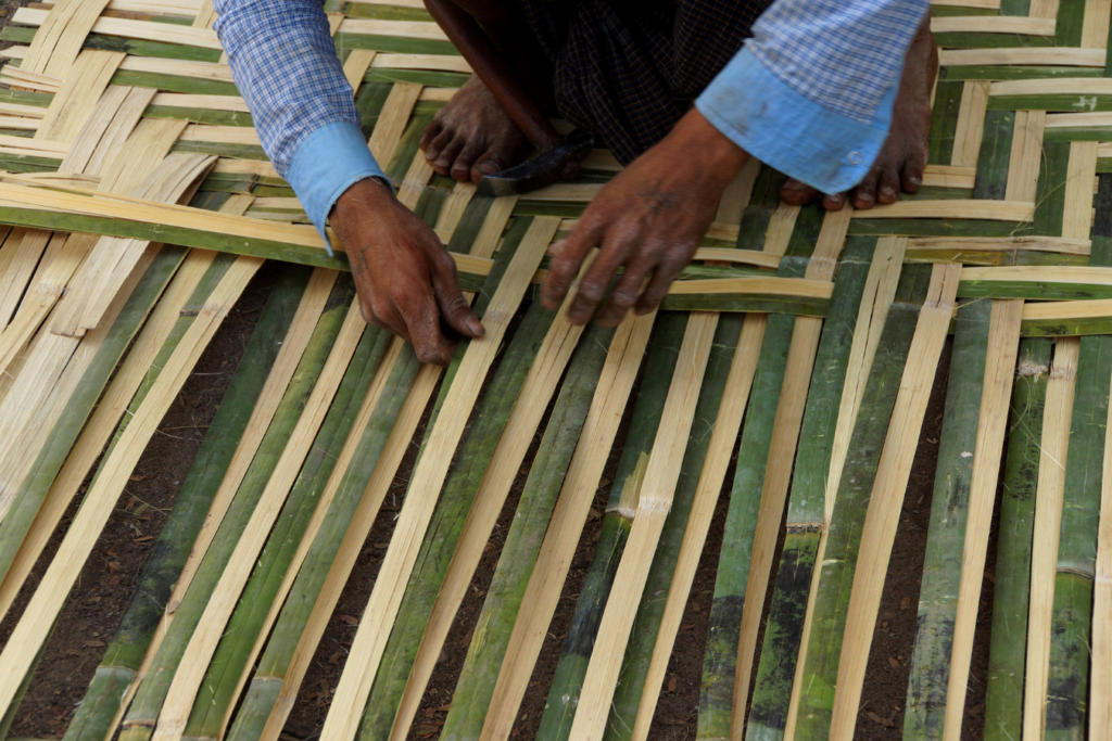 Bamboo Workshop - ASEV